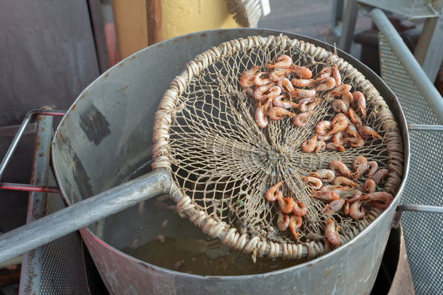 Eine Ode an die Krabbe in Schleswig-Holstein | R.SH